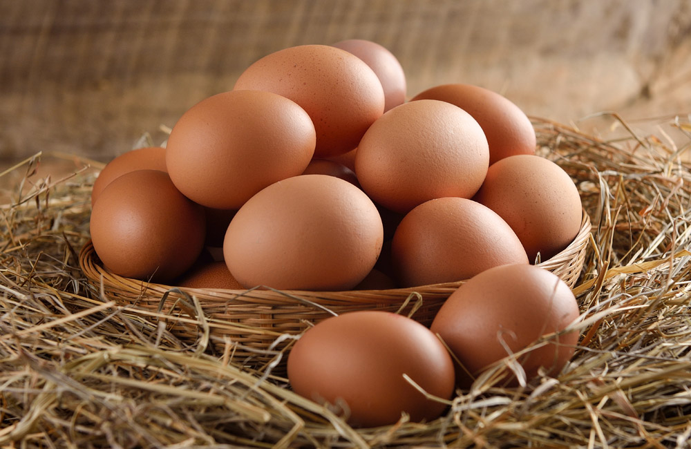 NF VALIDATION (Food) : News of October 2020 - NF Validation EN